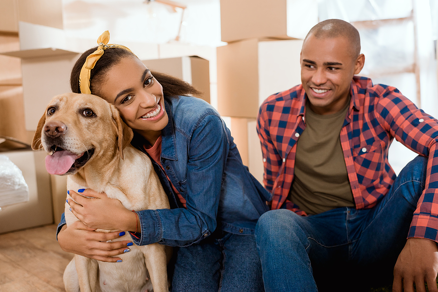 Adoption Counselor - Sunshine State Labrador Rescue